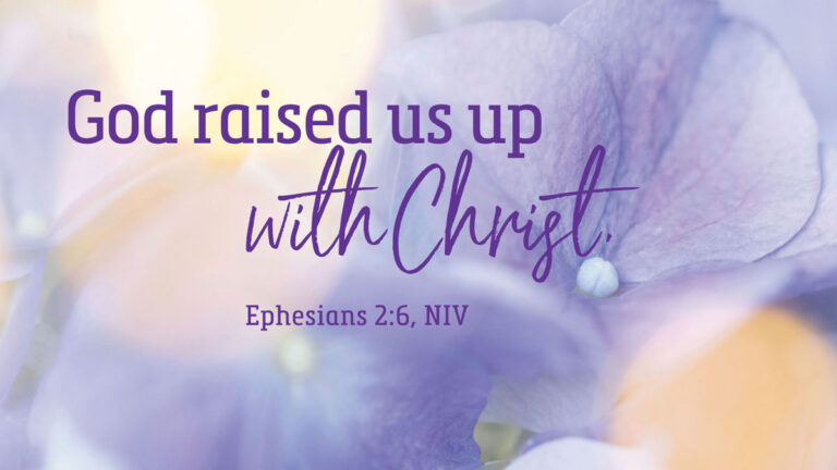 A Renewed Mind is the Mind of Christ – Springfield Fellowship